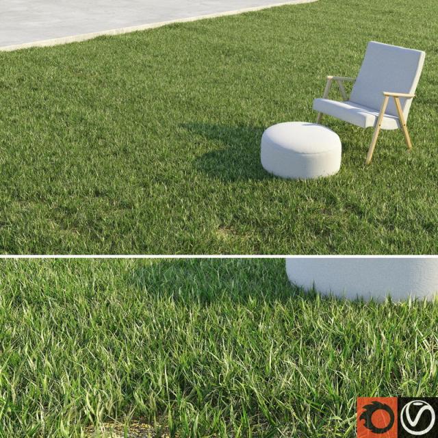 Lawn Grass 3d model | Best Of 3d Models